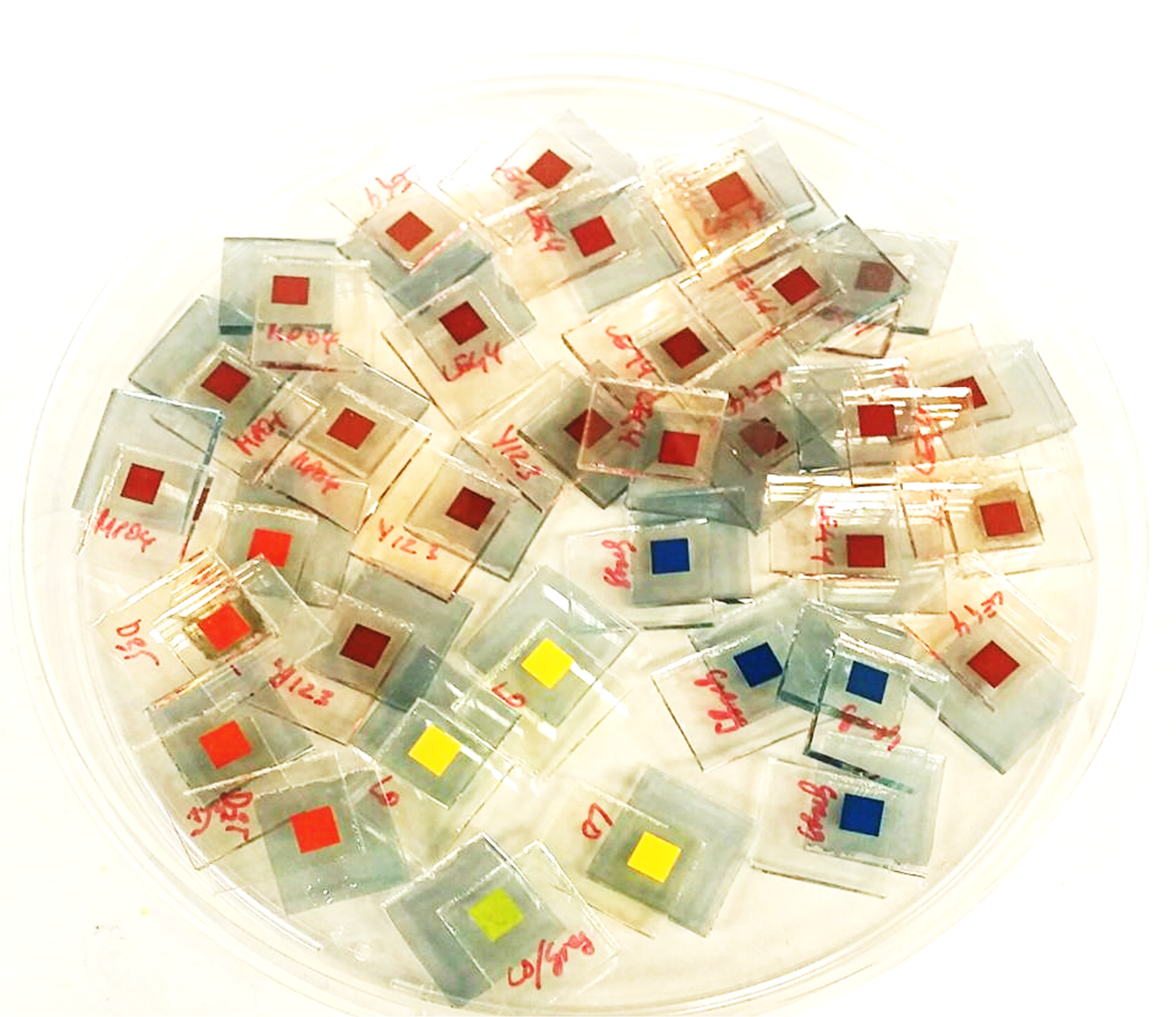 Freitag Lab